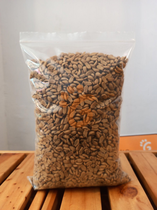 WonderCat Repack 1kg (Salmon) - Products - Gloria's Pet Supplies