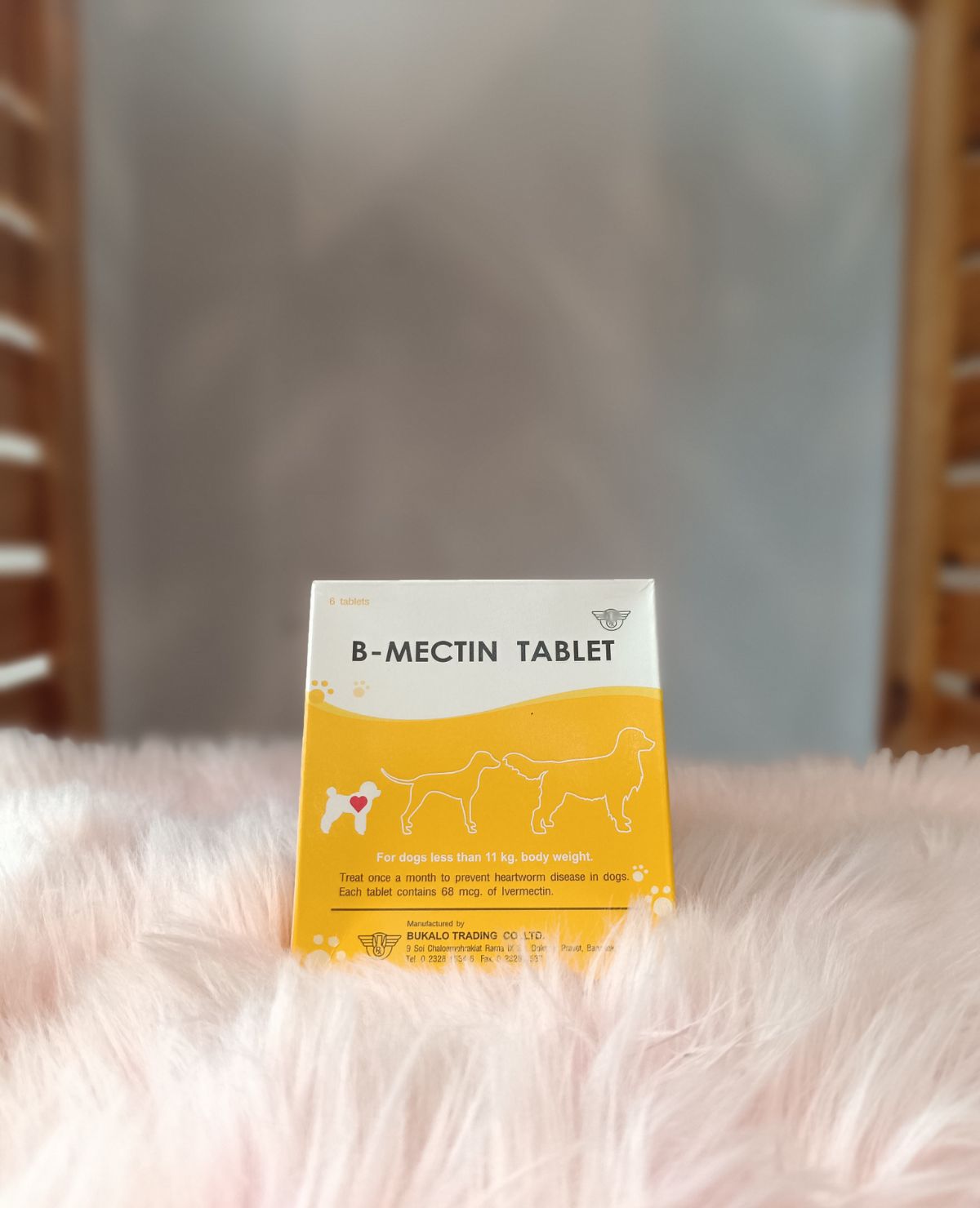 Home - Gloria's Pet Supplies